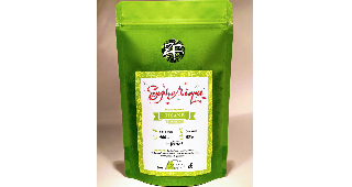 La cour d'école de demain | The Project Factory