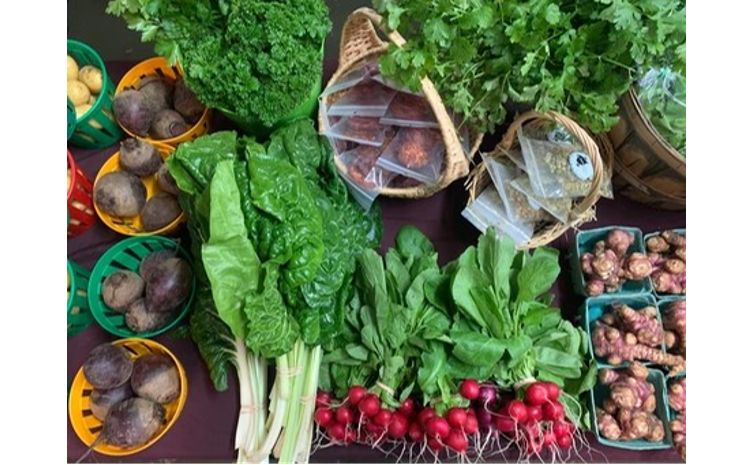 Vente de paniers de légumes | The Project Factory