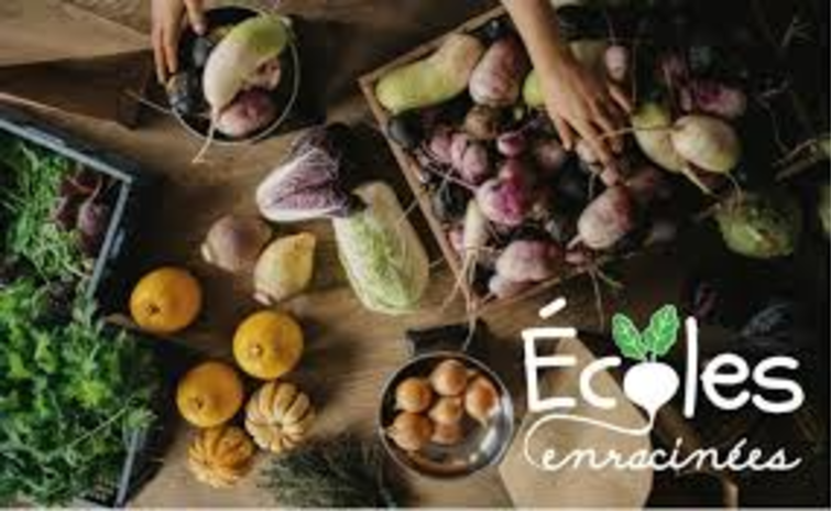 Écoles enracinées/paniers de légumes | The Project Factory