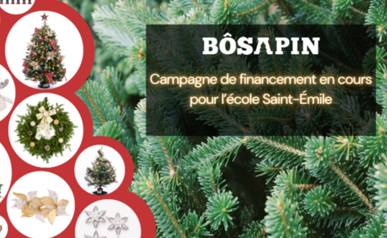 Vente de sapins et couronnes de Noël 2025 – École Saint-Émile | La ...